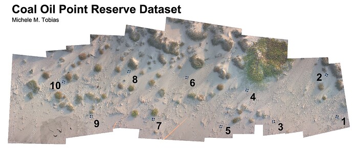 The History and Background of ODM - Off Topic - OpenDroneMap Community