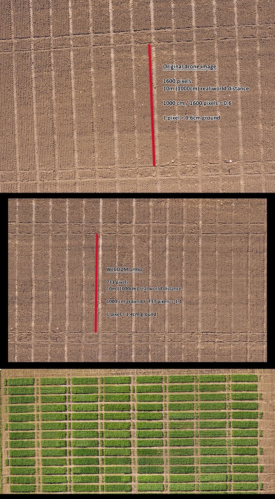 Best settings for RGB ortho's of agricultural research cereal trials ...