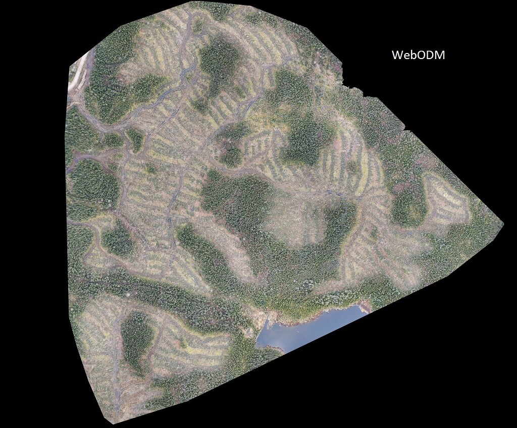 Side of map - WebODM - OpenDroneMap Community