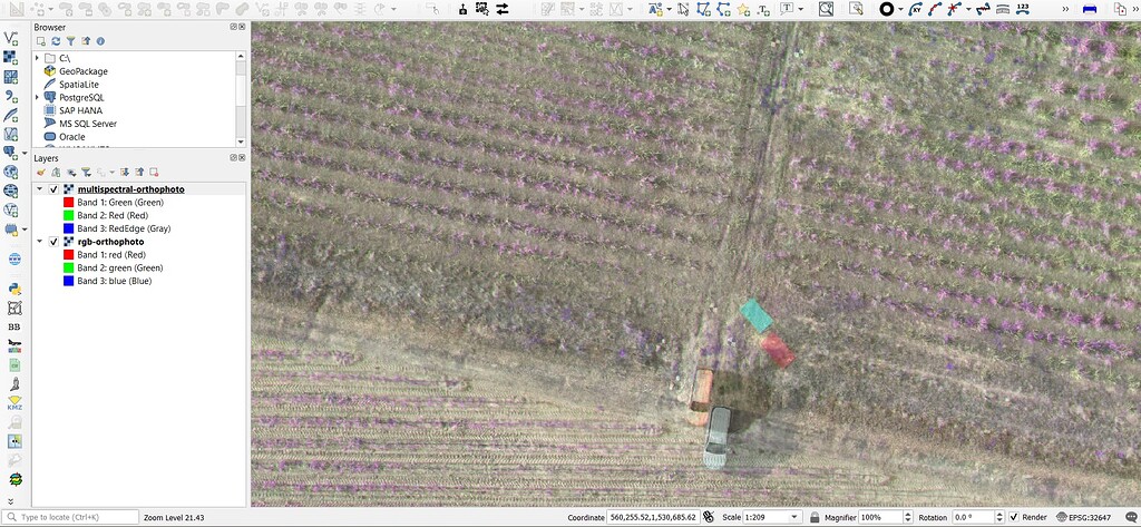 Need help accuracy of location different between Orthophoto from RGB and Multispectral Band ...