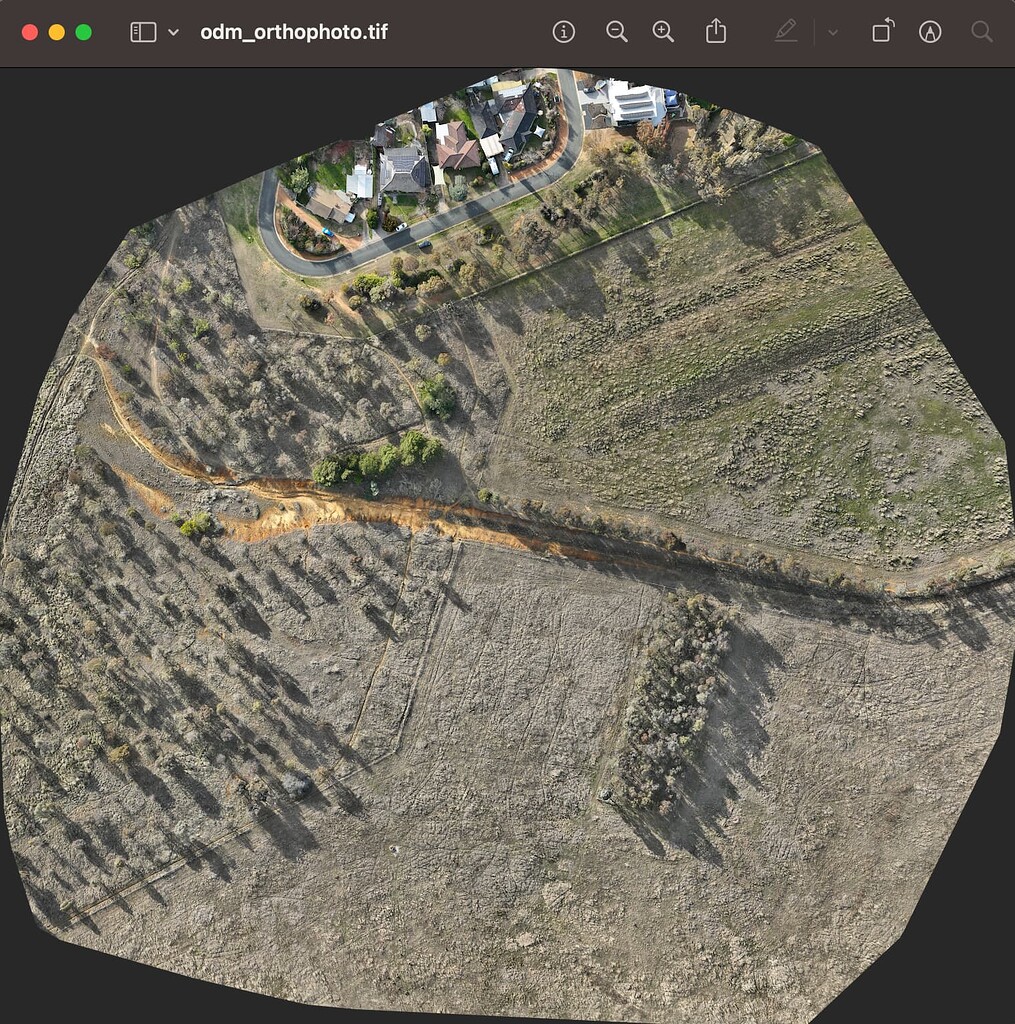 Pixelated M3M Orthophoto (Issue) - ODM - OpenDroneMap Community