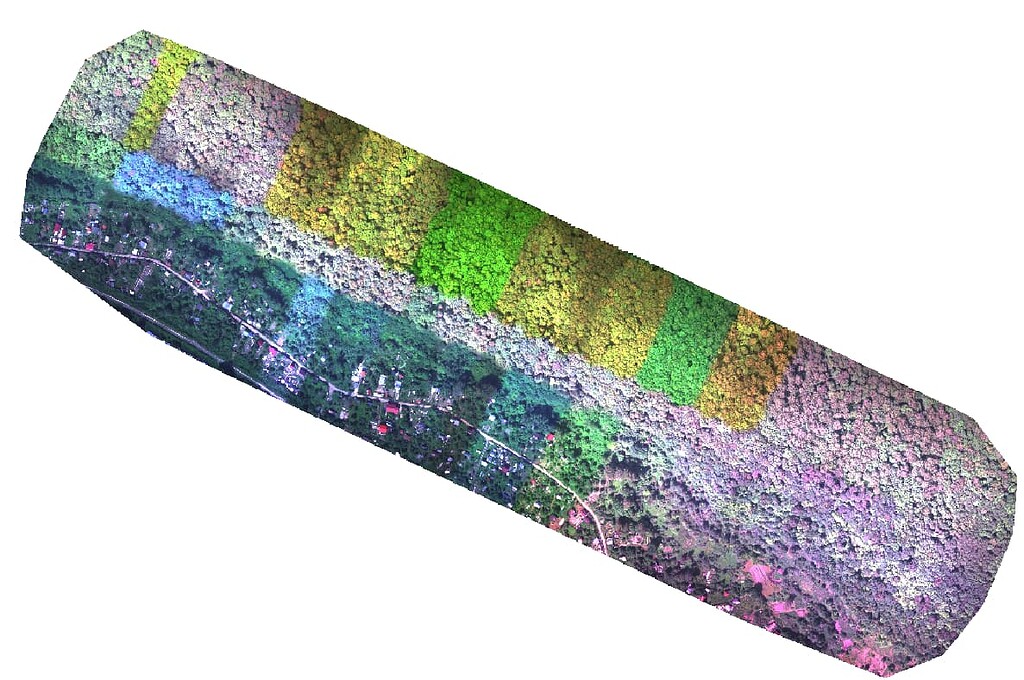 DJI P4M Segmented Orthophoto - Page 2 - WebODM - OpenDroneMap Community