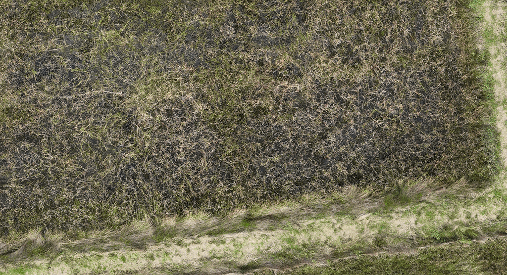 Orthophoto alignment/coregistration of RGB and multispectral - ODM ...