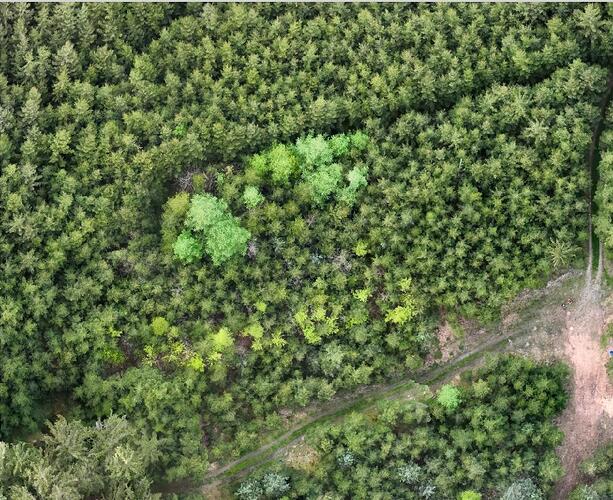 High Resolution/Fast Ortho Processing - WebODM - OpenDroneMap Community