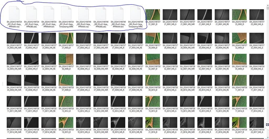 M3M Processing Guide (Multispectral Imagery) - WebODM - OpenDroneMap ...