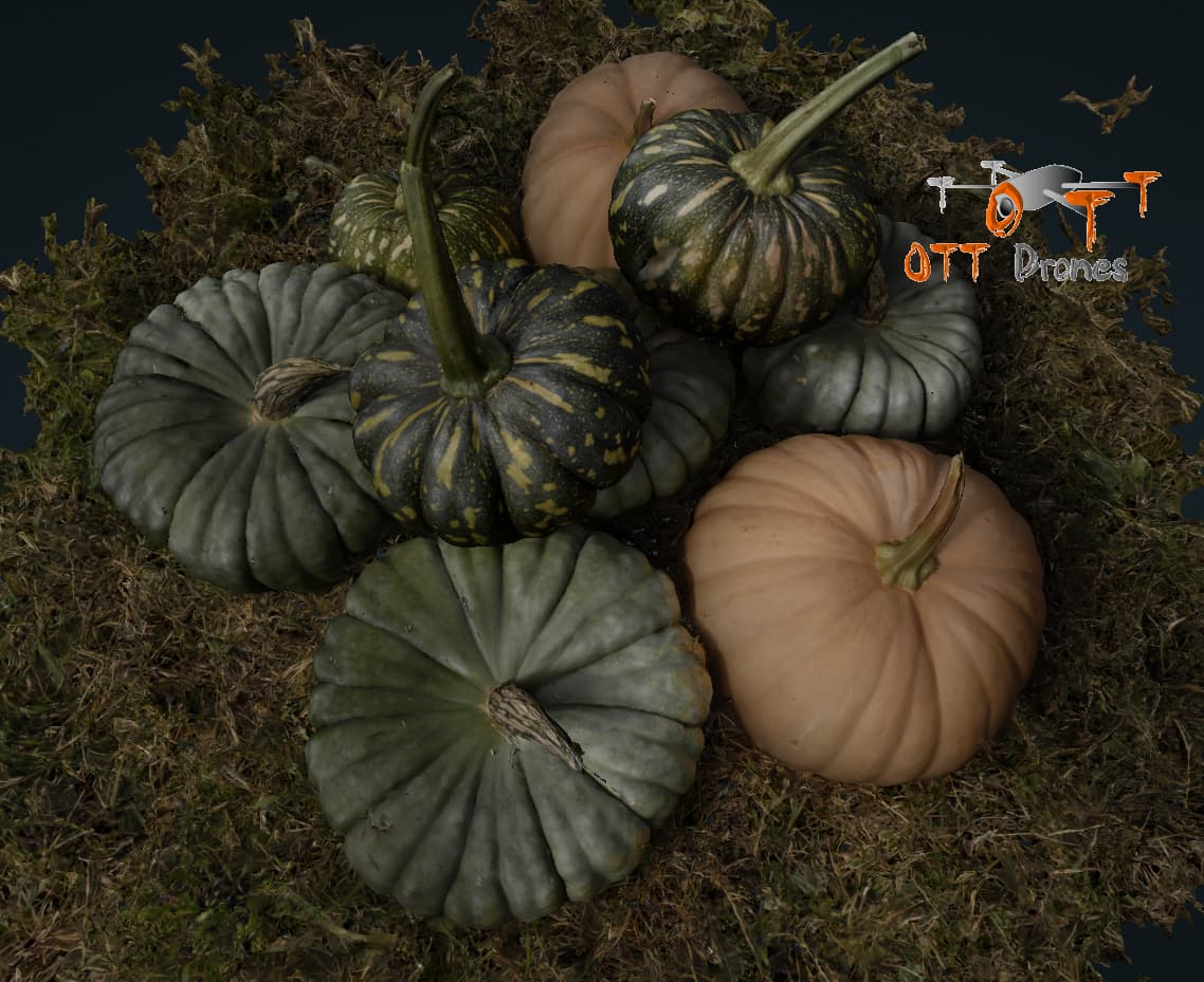 Can't view textures in 2 recent version 2s, but in 1.9 I can (3D model ...