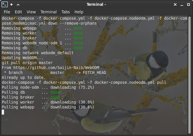 How to know ODM version with Docker and change to previous NodeODM GPU's dockers version ...