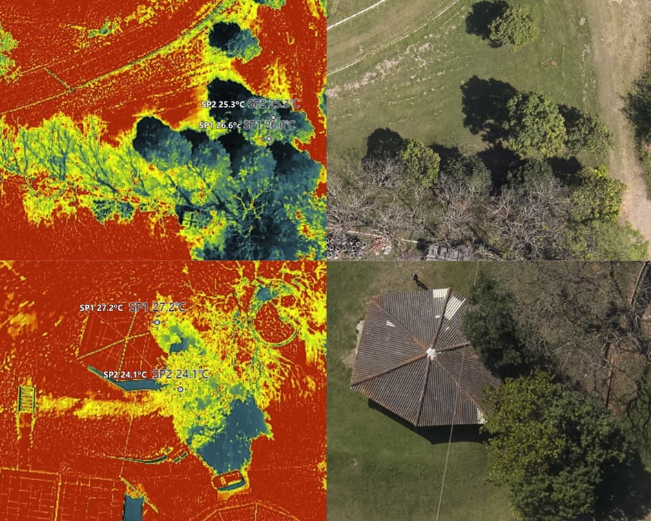 Plant Healthy - NDVI based on RGB Image - General Help - OpenDroneMap ...
