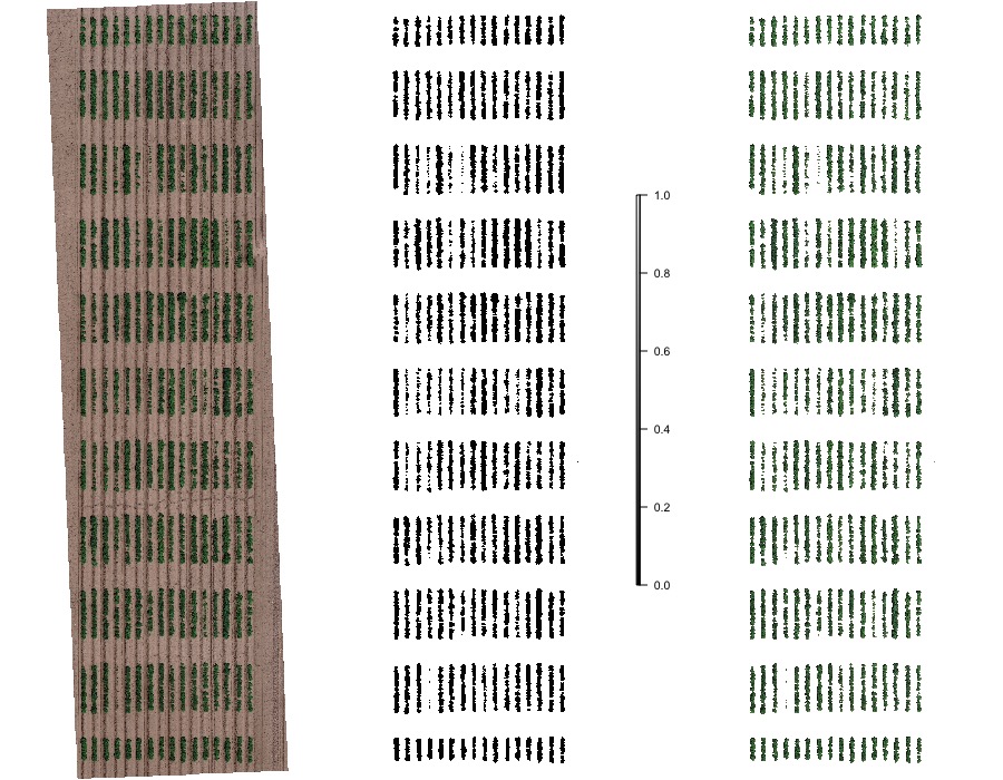 Split 1 hectare map into a 1000 x 10m2 grid and export individual ...