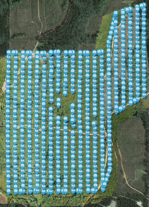 Camera layer in Ortho Map View - WebODM - OpenDroneMap Community