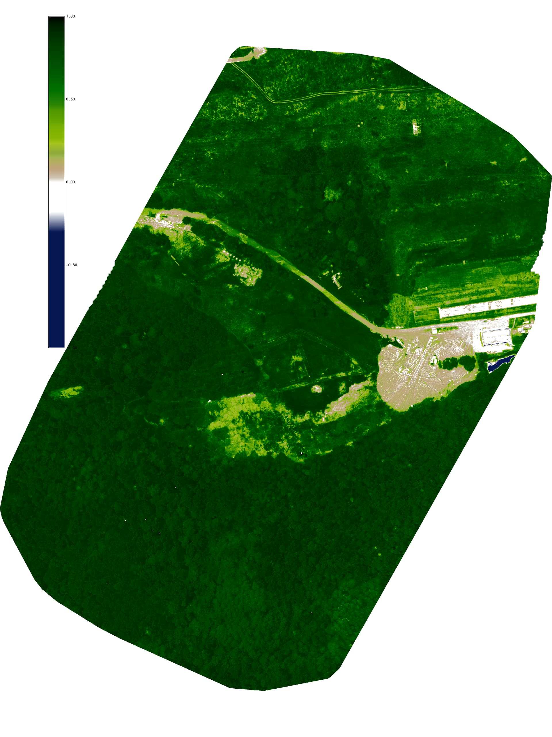 DJI P4M Segmented Orthophoto - WebODM - OpenDroneMap Community