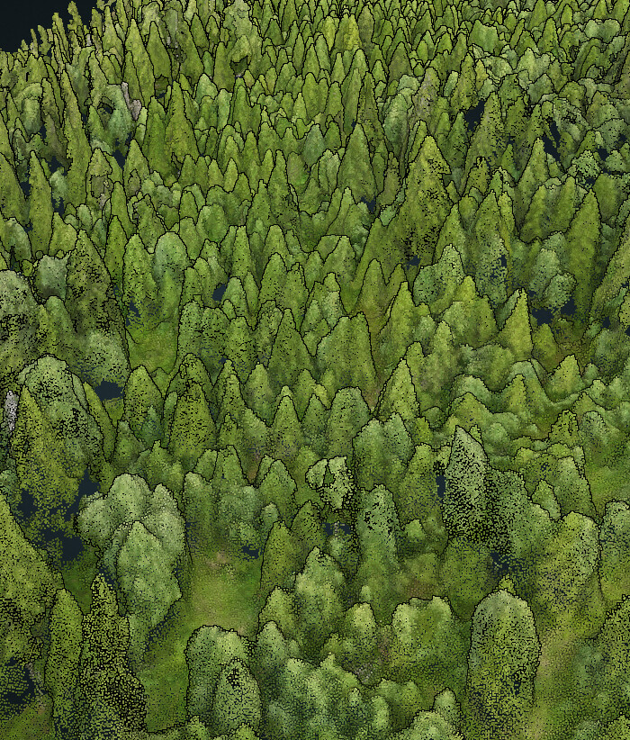 DSM problems over forest - OpenDroneMap Desktop - OpenDroneMap Community