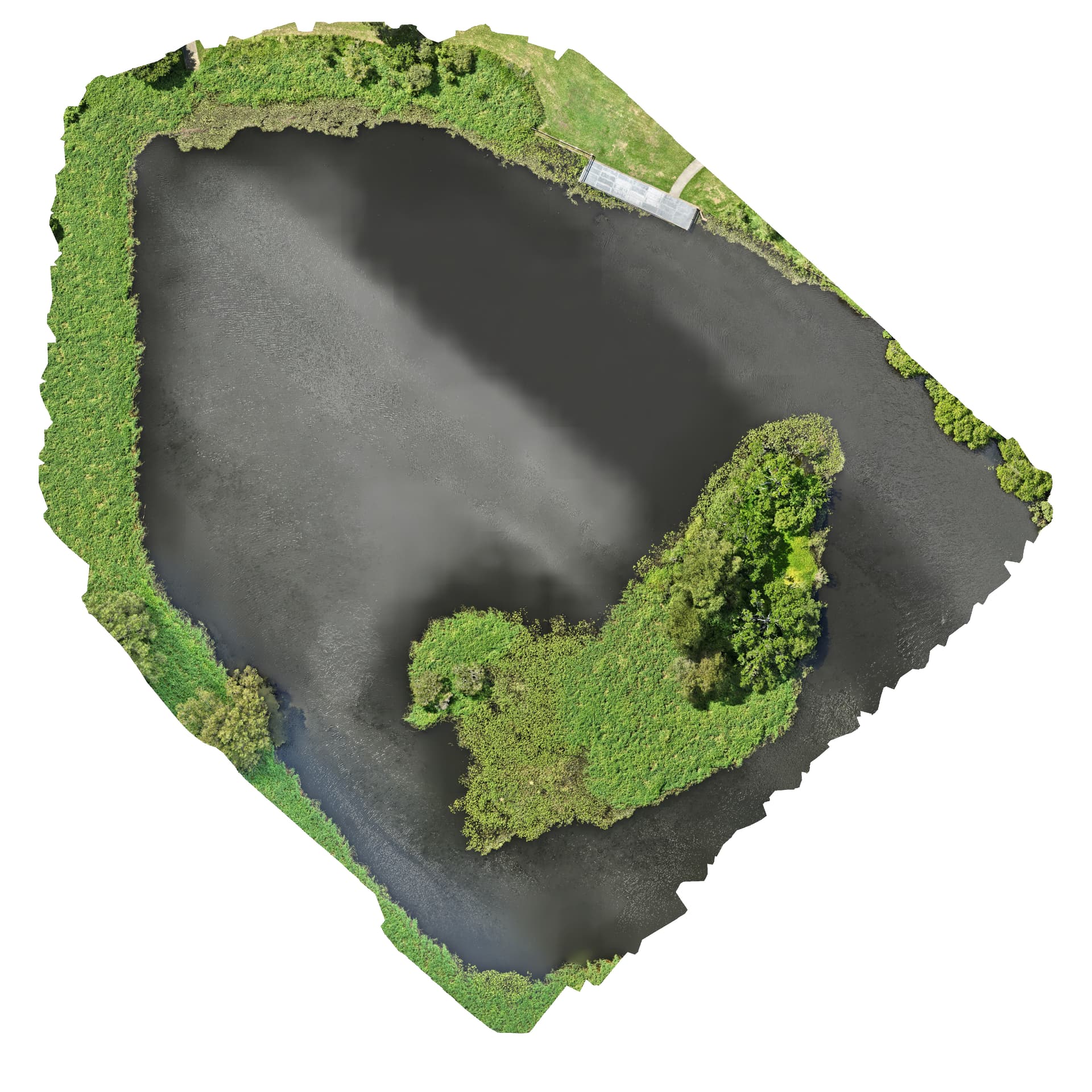 Good quality high overlap images not processing - WebODM - OpenDroneMap ...