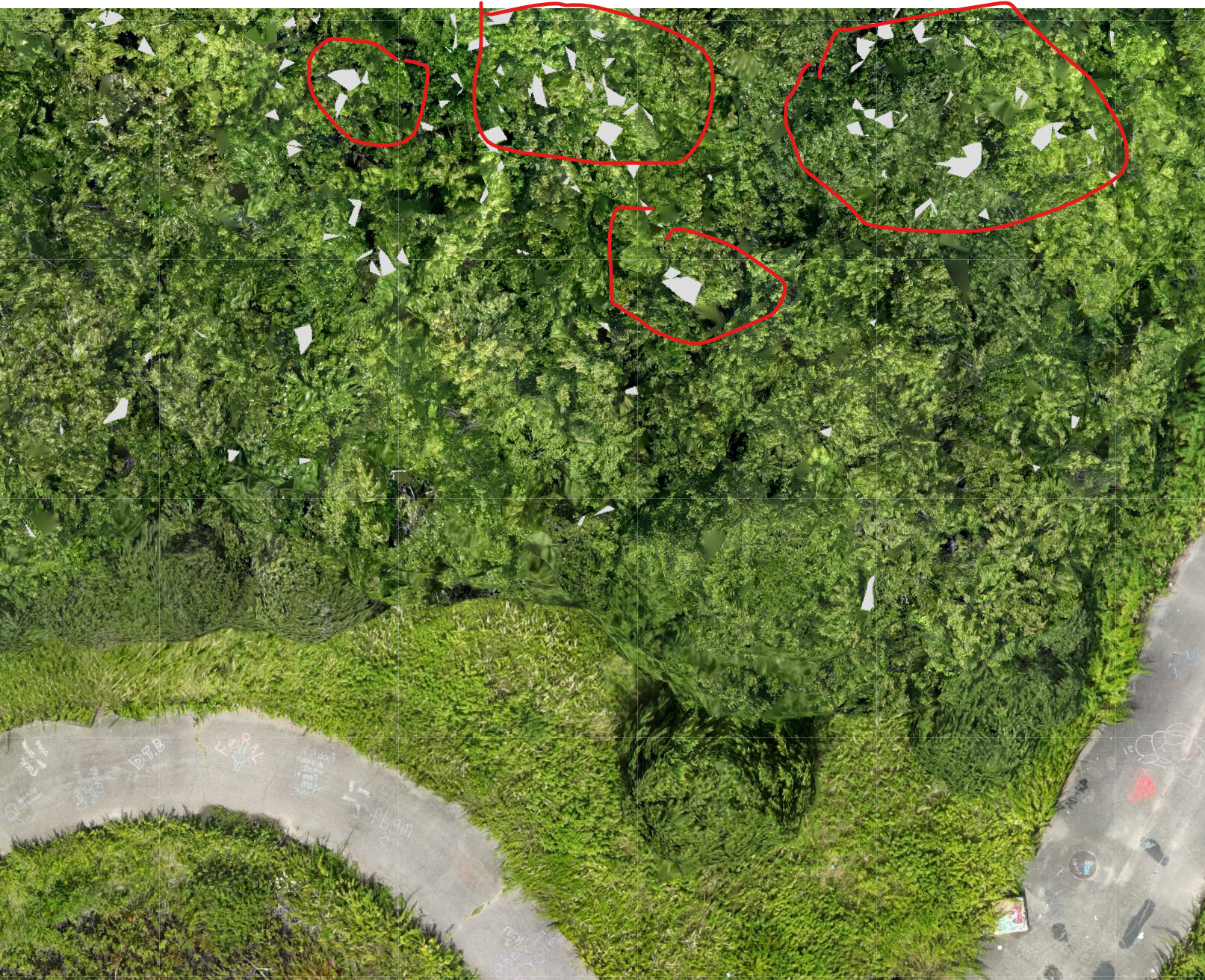 Empty spots in orthophoto with plenty of overlap - WebODM ...