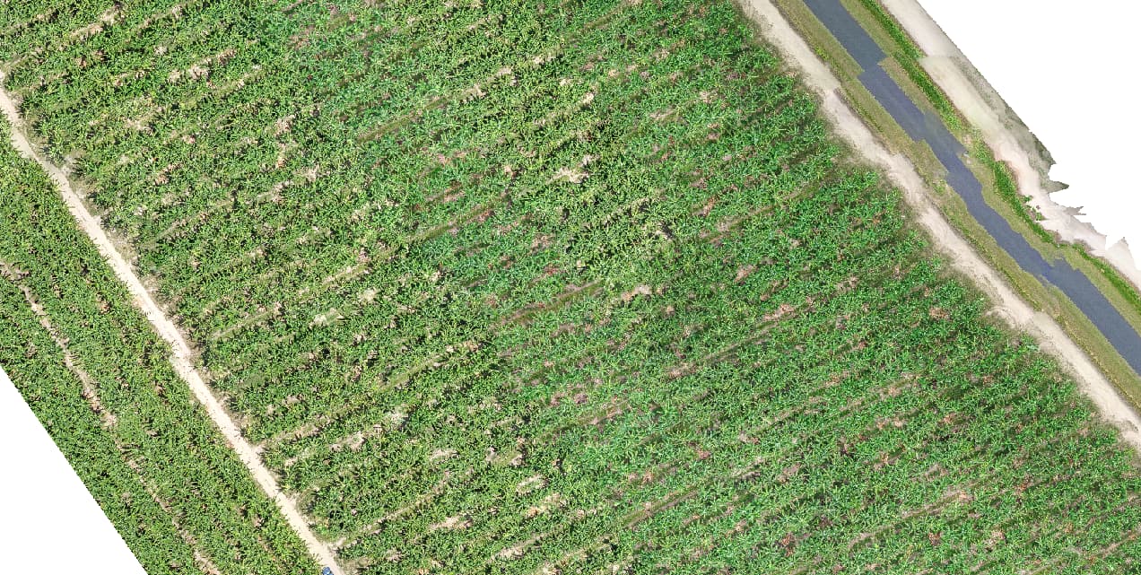 WebODM Lightning point cloud distortion - WebODM - OpenDroneMap Community