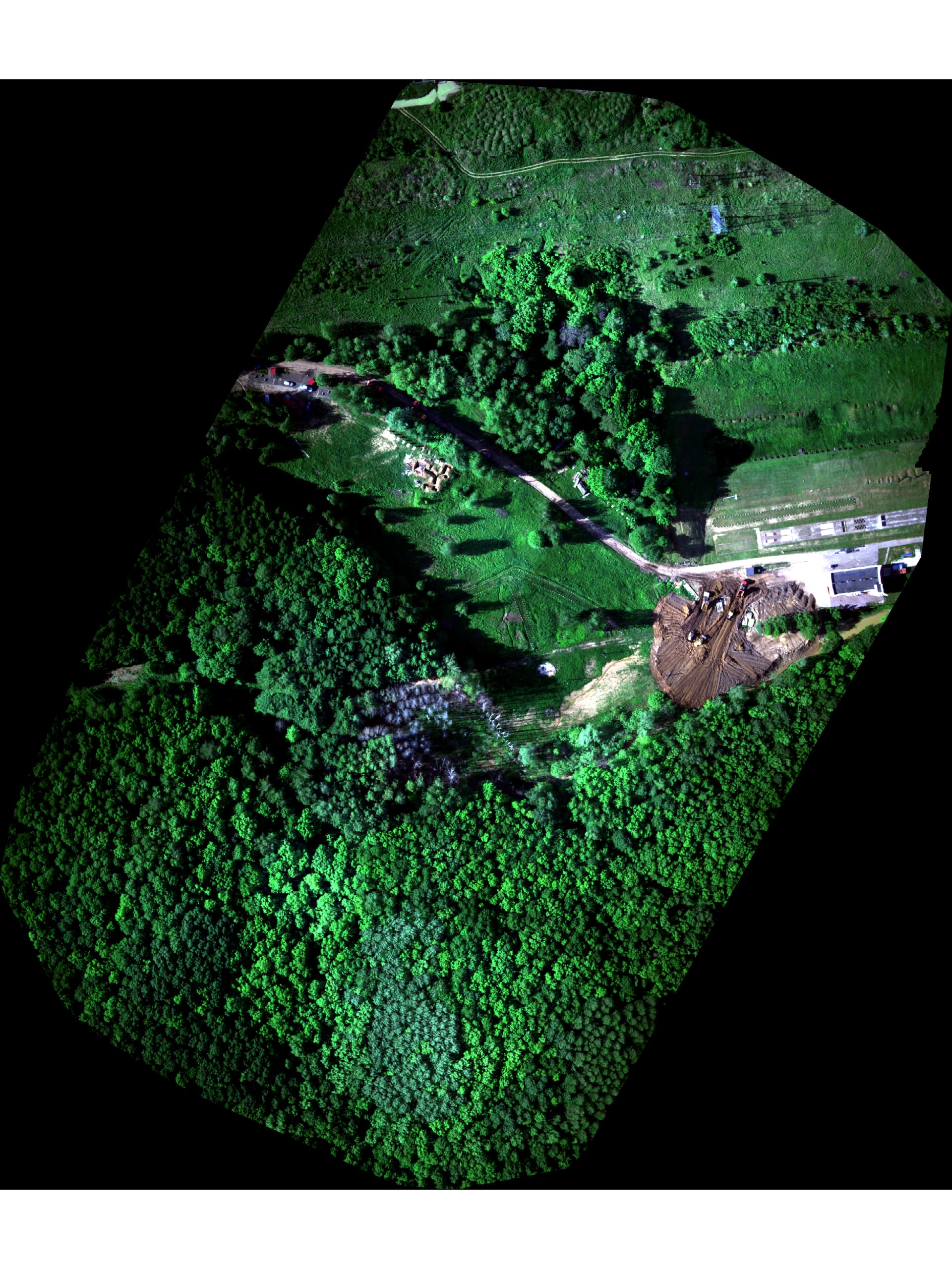 DJI P4M Segmented Orthophoto - WebODM - OpenDroneMap Community