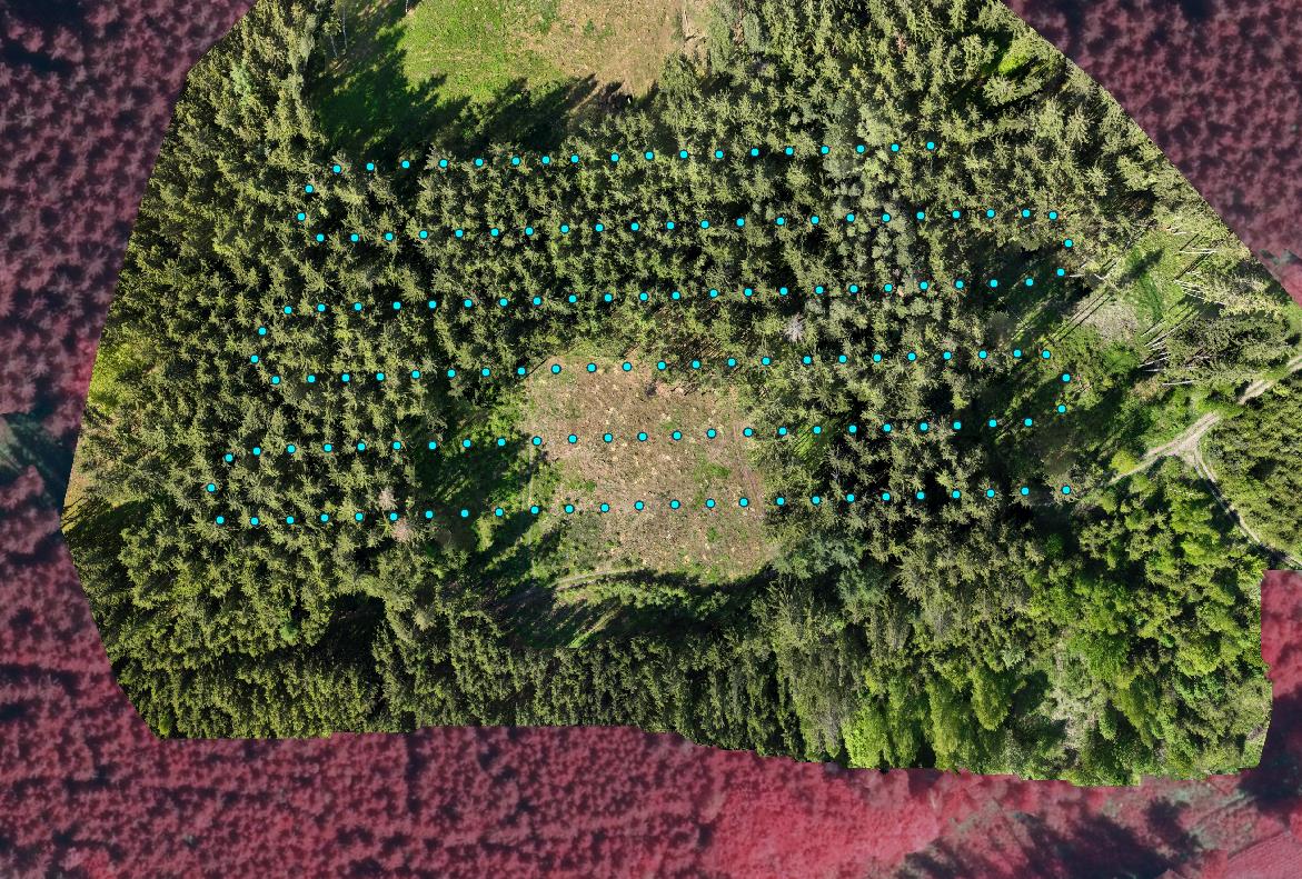 High Resolution/Fast Ortho Processing - WebODM - OpenDroneMap Community