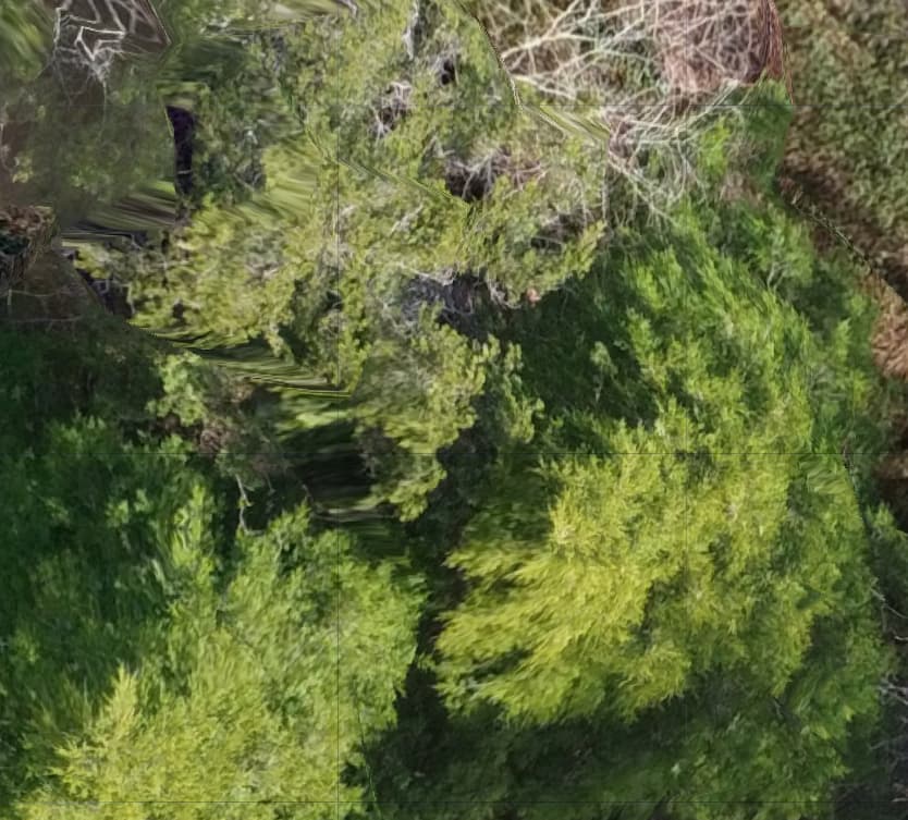 High Resolution/Fast Ortho Processing - WebODM - OpenDroneMap Community