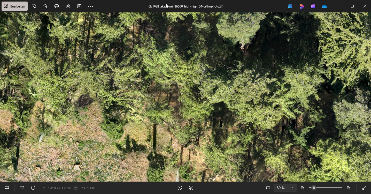 High Resolution/Fast Ortho Processing - Page 2 - WebODM - OpenDroneMap ...