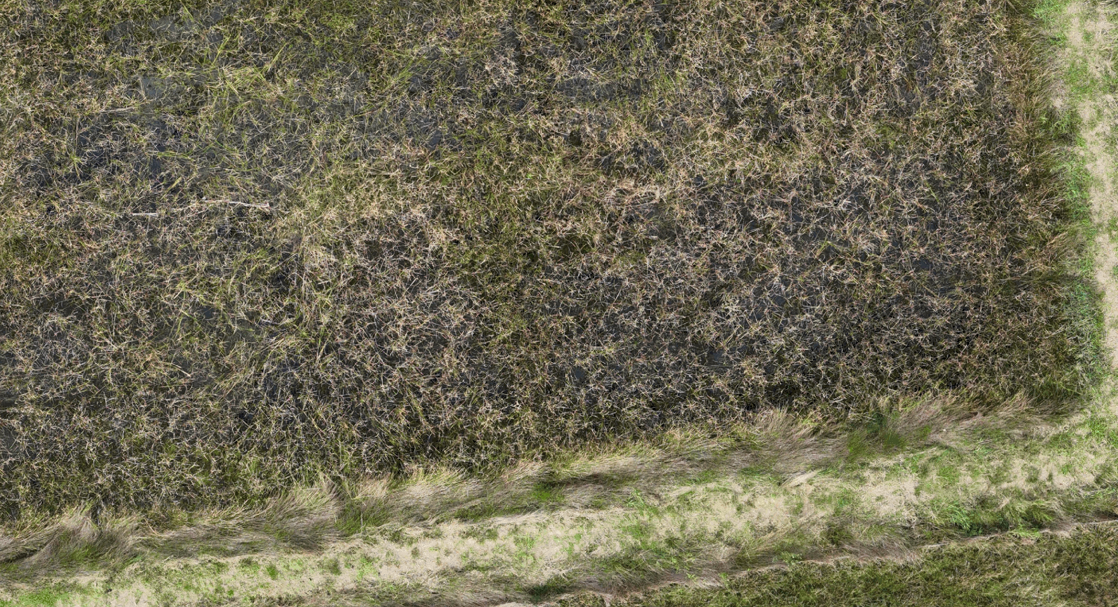 Orthophoto alignment/coregistration of RGB and multispectral - ODM ...