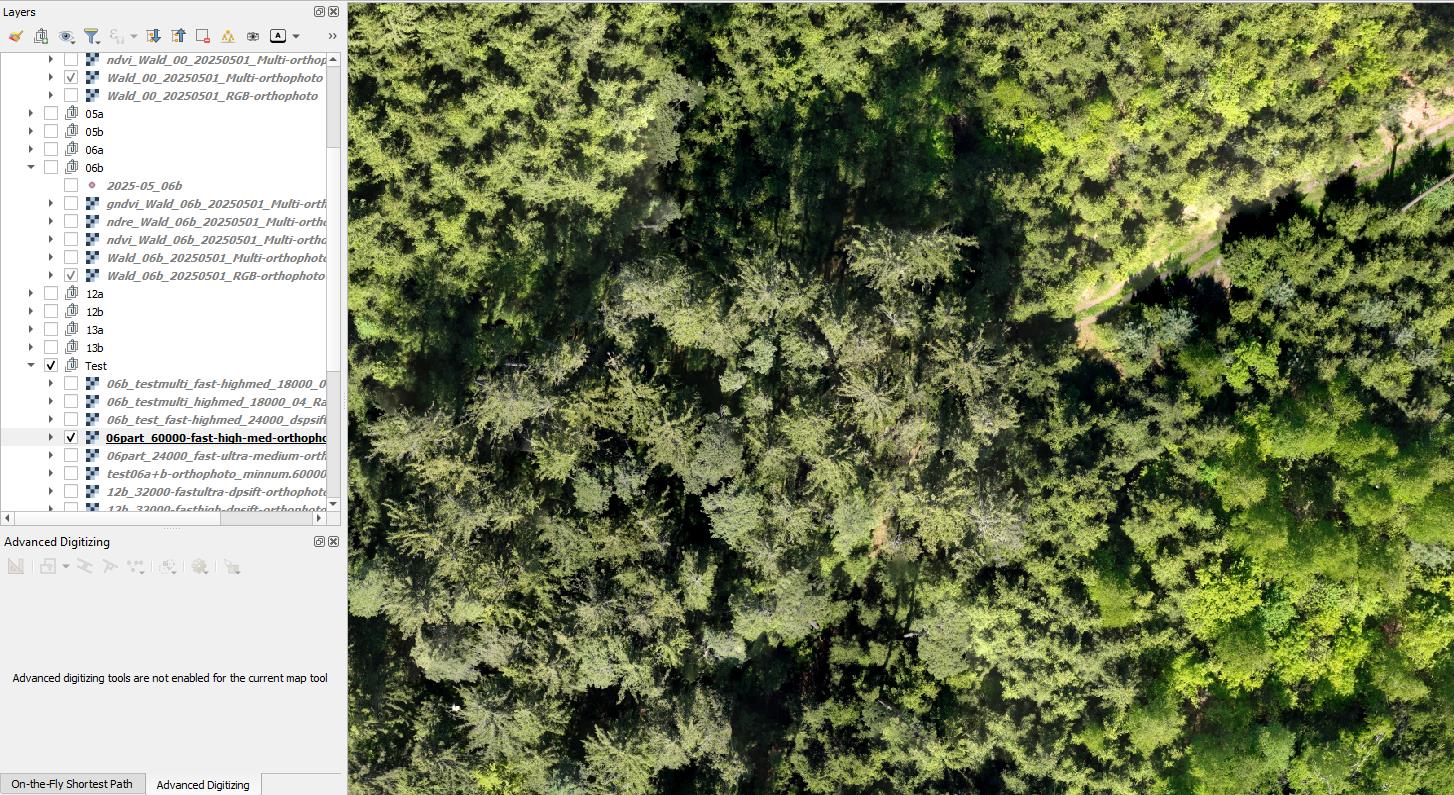 High Resolution/Fast Ortho Processing - Page 2 - WebODM - OpenDroneMap Community