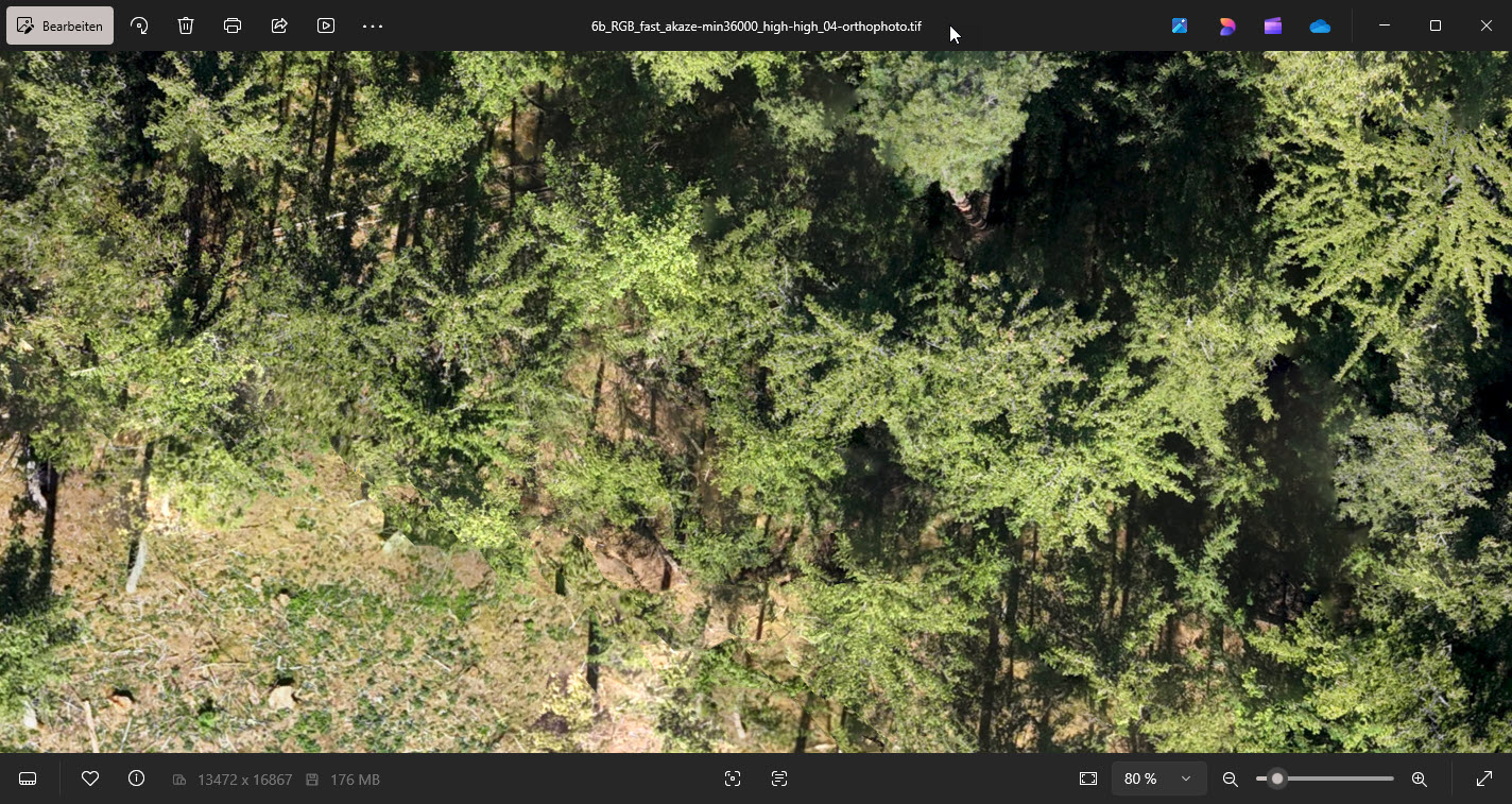 High Resolution/Fast Ortho Processing - Page 2 - WebODM - OpenDroneMap Community
