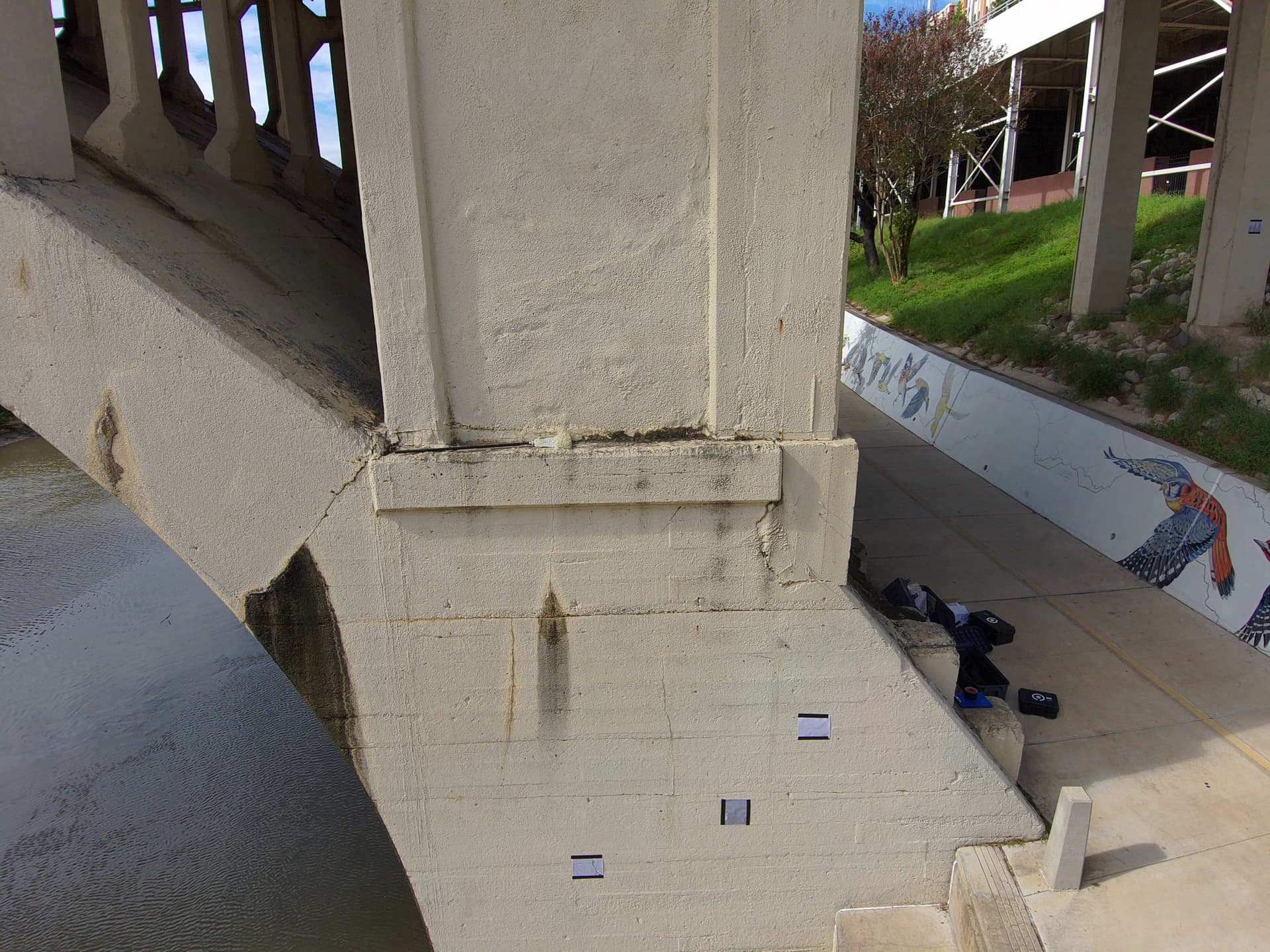 Want full-resolution depth maps - ODM - OpenDroneMap Community