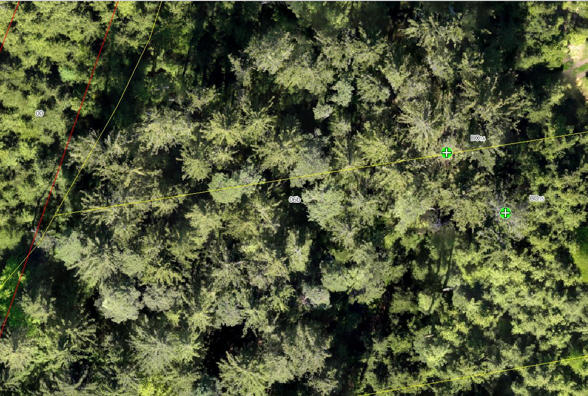 High Resolution/Fast Ortho Processing - WebODM - OpenDroneMap Community