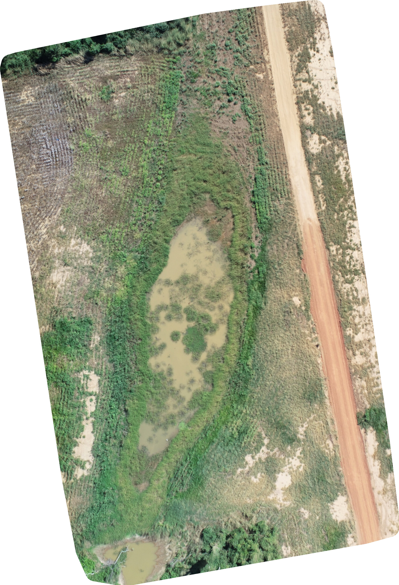 Problems processing images. - WebODM - OpenDroneMap Community