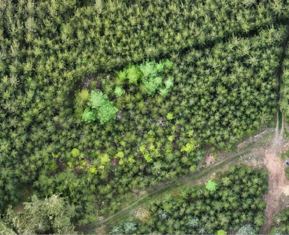 High Resolution/Fast Ortho Processing - WebODM - OpenDroneMap Community