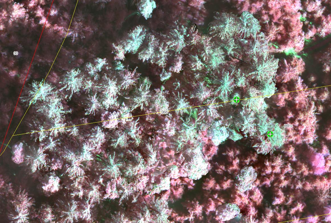 High Resolution/Fast Ortho Processing - WebODM - OpenDroneMap Community