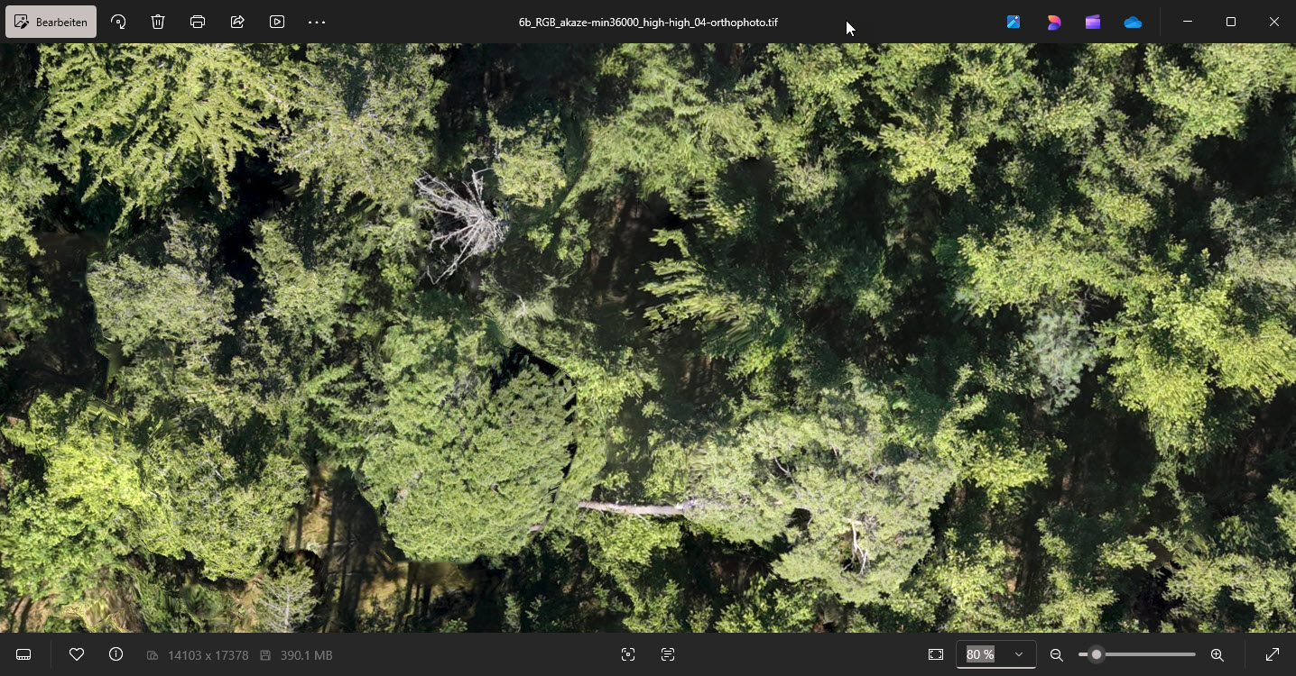 High Resolution/Fast Ortho Processing - Page 2 - WebODM - OpenDroneMap Community