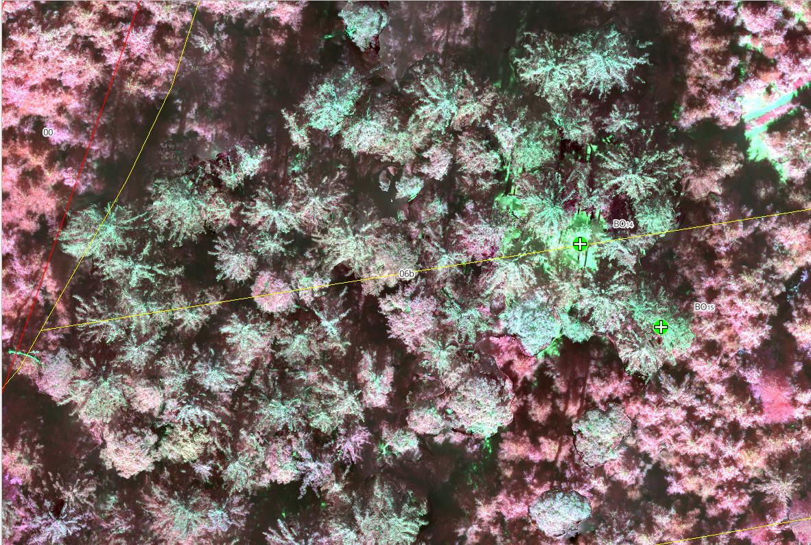 High Resolution/Fast Ortho Processing - WebODM - OpenDroneMap Community