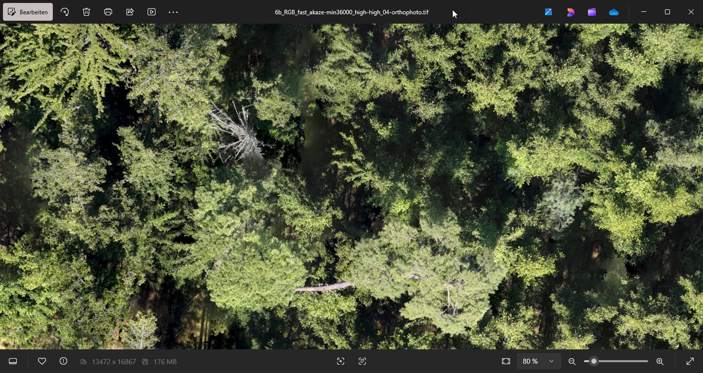High Resolution/Fast Ortho Processing - Page 2 - WebODM - OpenDroneMap Community